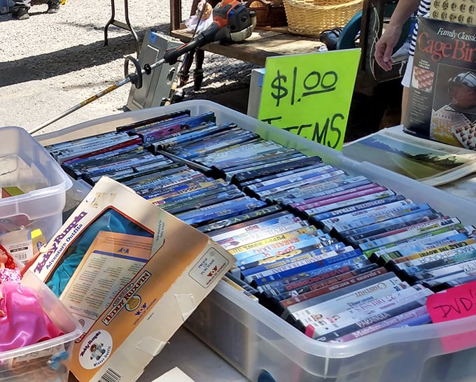 Movie collections span generations, offering entertainment libraries at prices that won't break the bank.