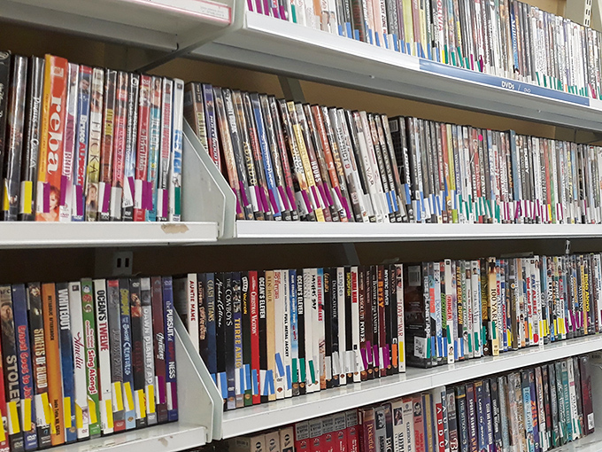 The DVD section: where forgotten blockbusters and obscure documentaries find unexpected roommates on the same shelf.