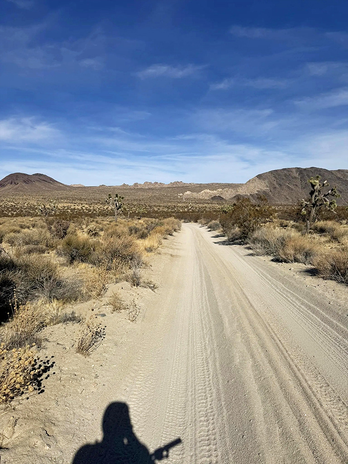 The road less traveled, literally. This stretch of Geology Tour Road makes your daily commute look downright pedestrian by comparison.