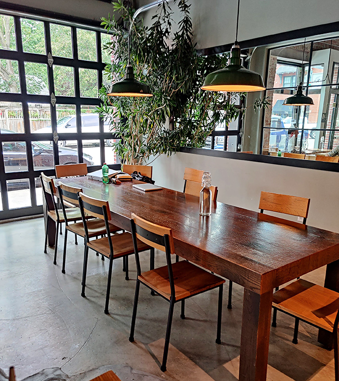 The communal table: where strangers become friends over shared pastry enthusiasm. Notice how the plants add life without trying too hard&mdash;like Columbus itself.