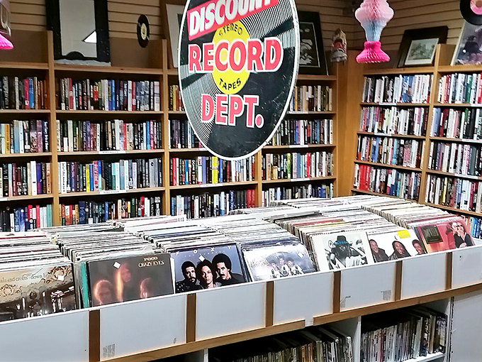 Vinyl treasures waiting for their encore. In a digital world, these analog time capsules offer warmth no streaming service can match.
