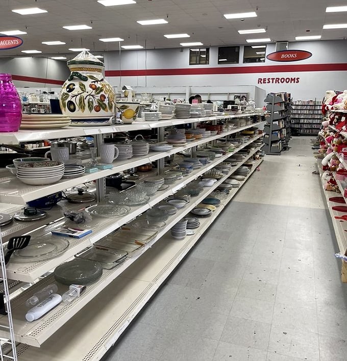 Dish department dreams! From everyday plates to that one fancy serving platter you'll use exactly twice a year.