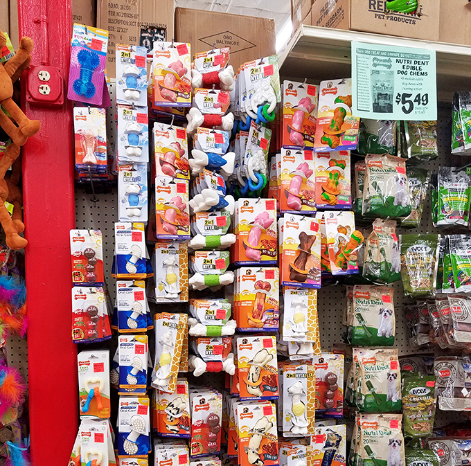 Pet paradise where Fido's allowance stretches further. Toys so affordable you won't mind when they're destroyed in record time.