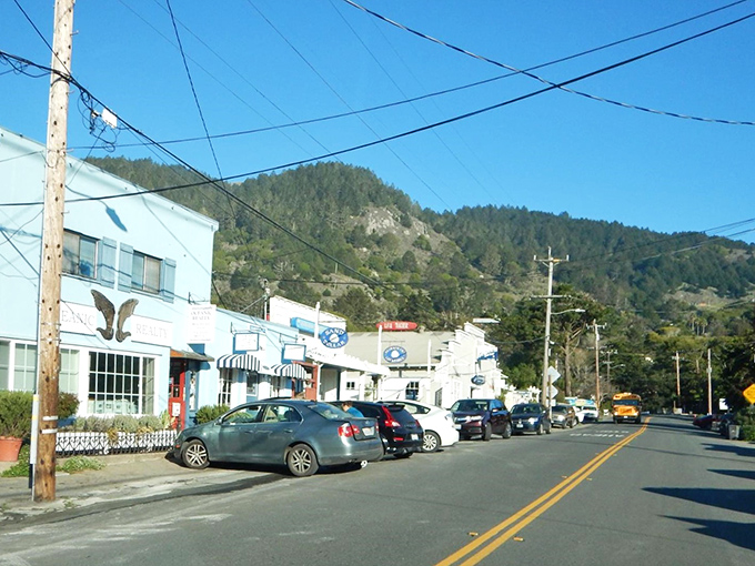 Downtown Stinson Beach &ndash; where "rush hour" means three cars waiting to park and the biggest business decision is ice cream or coffee first.