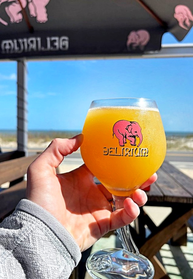 Sunshine in a glass! This golden Belgian brew offers the perfect refreshment after a day exploring Palm Coast's hidden corners.