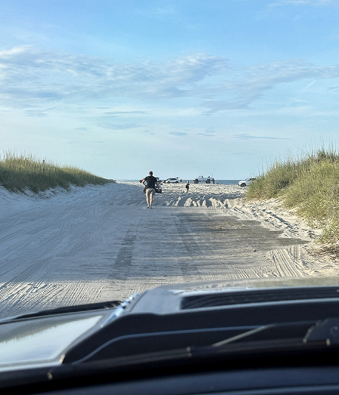 The beach access road&mdash;where ordinary drivers transform into intrepid explorers navigating between sea oats toward the promise of perfect waves.
