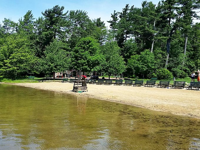 Eagles Mere Beach offers the perfect summer escape &ndash; crystal clear water without the annoyance of salt, sharks, or overpriced umbrella rentals.