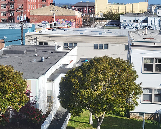 Downtown Eureka's rooftops create an urban canvas that somehow feels both vintage and timeless. The perfect backdrop for your next existential coffee break.