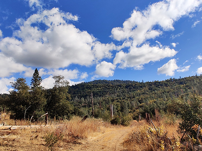 Mountain vistas stretch endlessly, reminding you why people once traveled west seeking such views.