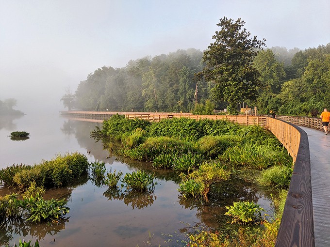 Morning fog transforms the ordinary into the magical. Even the jogger in the distance seems to be running through a dream.