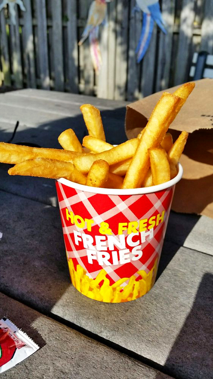 French fries so perfectly golden, they deserve their own category at the Olympics. The crunch is practically audible.