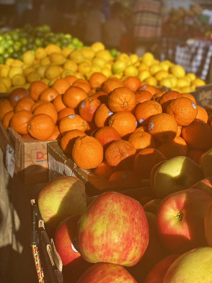 Nature's candy store&mdash;where apples and oranges aren't being compared, but celebrated side by side in perfect, sun-kissed harmony.