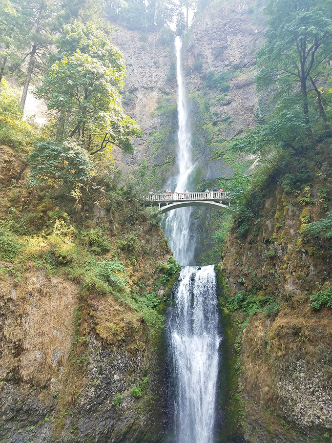 Wahkeena Falls in its full splendor reminds us that some of nature's most spectacular shows don't require tickets &ndash; just comfortable shoes.