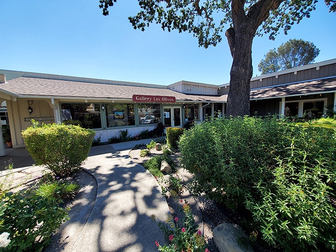 Gallery Los Olivos showcases local artists amid garden splendor. Art and nature in perfect harmony.