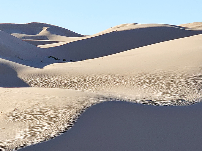 The Imperial Sand Dunes ripple like a golden ocean frozen in time, their undulating forms sculpted by desert winds and Hollywood location scouts.