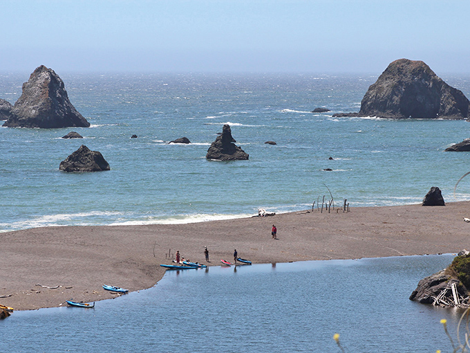 Goat Rock Beach, where nature arranged those dramatic sea stacks specifically to make your vacation photos look like professional travel magazine covers.