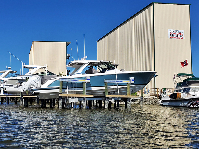 Where boats rest easier than their owners' bank accounts. This marina showcases Florida's floating status symbols in their natural habitat.