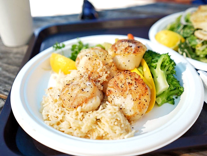 Perfectly seared scallops perched atop rice like culinary royalty. The caramelized edges tell you everything you need to know about the kitchen's attention to detail.