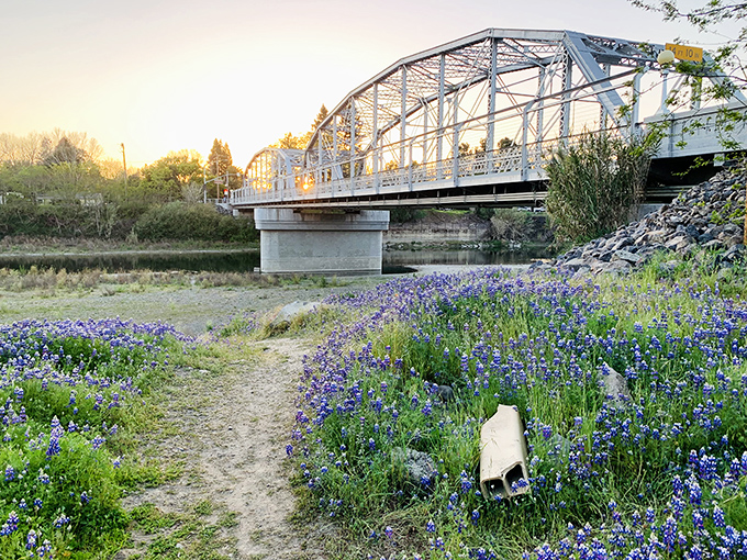 The Memorial Bridge arches gracefully over waters bordered by wildflowers, creating the kind of scene that belongs on postcards and in daydreams.