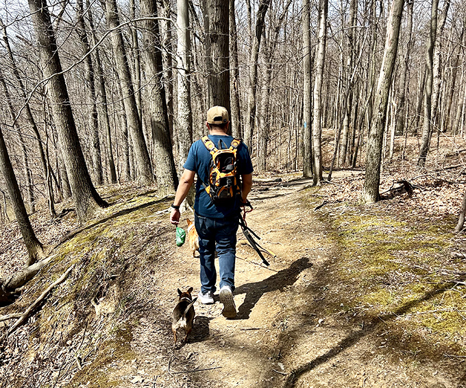 The best hiking companions don't talk much but appreciate the journey &ndash; this trail welcomes both two-legged and four-legged explorers.