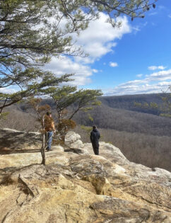 The Majestic Overlook In Tennessee That You'll Want To Visit Again And ...