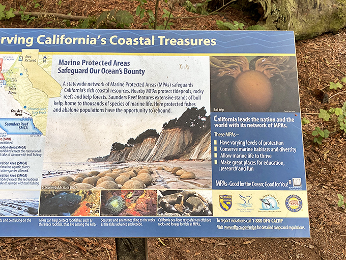 Conservation meets education at Schooner Gulch. This sign reminds us these geological wonders aren't just cool&mdash;they're worth protecting.