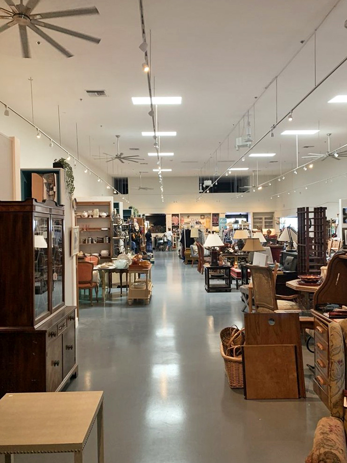 Wide aisles and thoughtful displays transform treasure hunting from chaotic excavation to pleasant exploration &ndash; archaeology without the dirt.