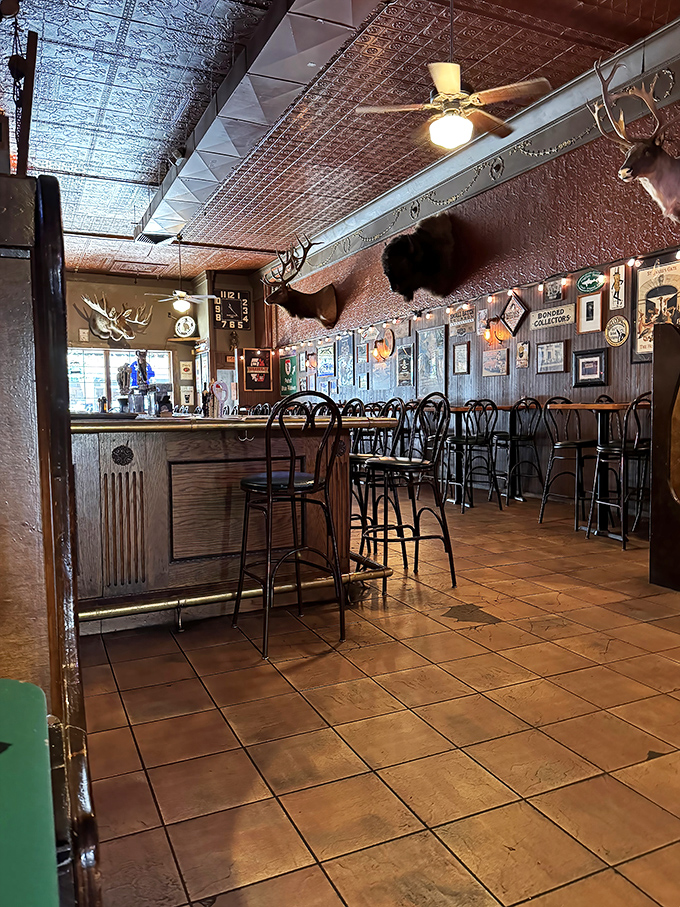 The empty bar stools stand ready, like front-row seats to the greatest show in town: watching skilled bartenders work their magic.