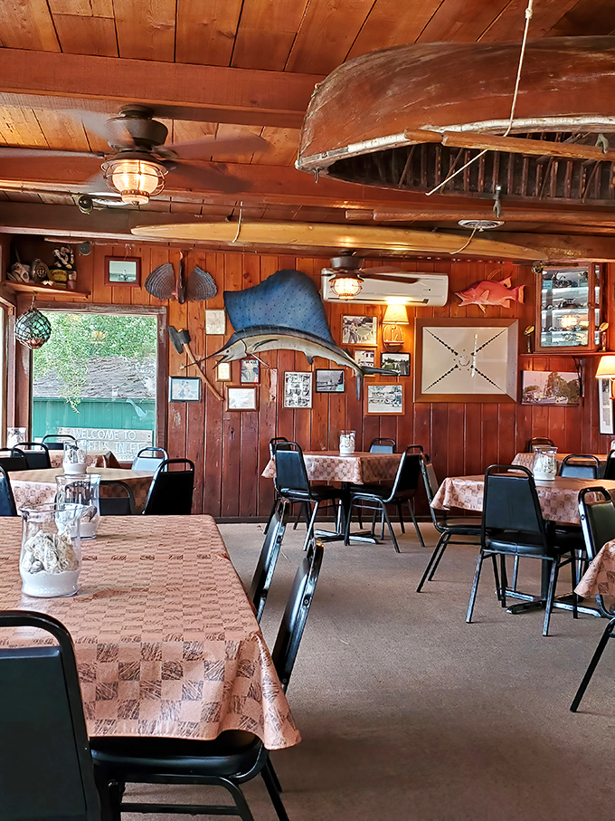Fishing memorabilia adorns wood-paneled walls like badges of honor. That marlin looks like it has stories to tell.