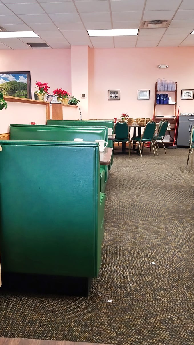 Green booths, wooden tables, and potted plants create that "everybody knows your order" atmosphere that chain restaurants try desperately to imitate.