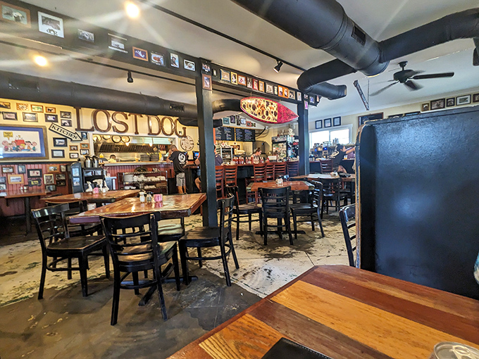 Wooden tables worn smooth by thousands of happy elbows tell you this place has history. The "LOST DOG" sign watches over it all.