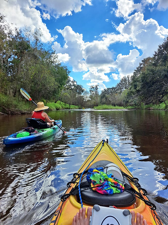 Kayaking these gentle waters feels like floating through a living postcard &ndash; the ultimate Florida screen saver come to life.