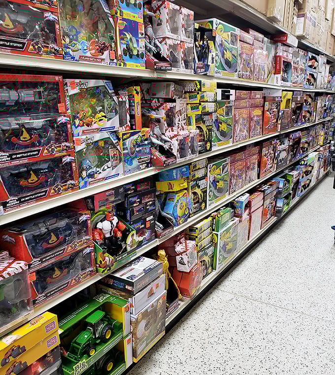 Toy nirvana where childhood dreams meet parental budget realities &ndash; action figures, vehicles, and games that won't require a second mortgage.