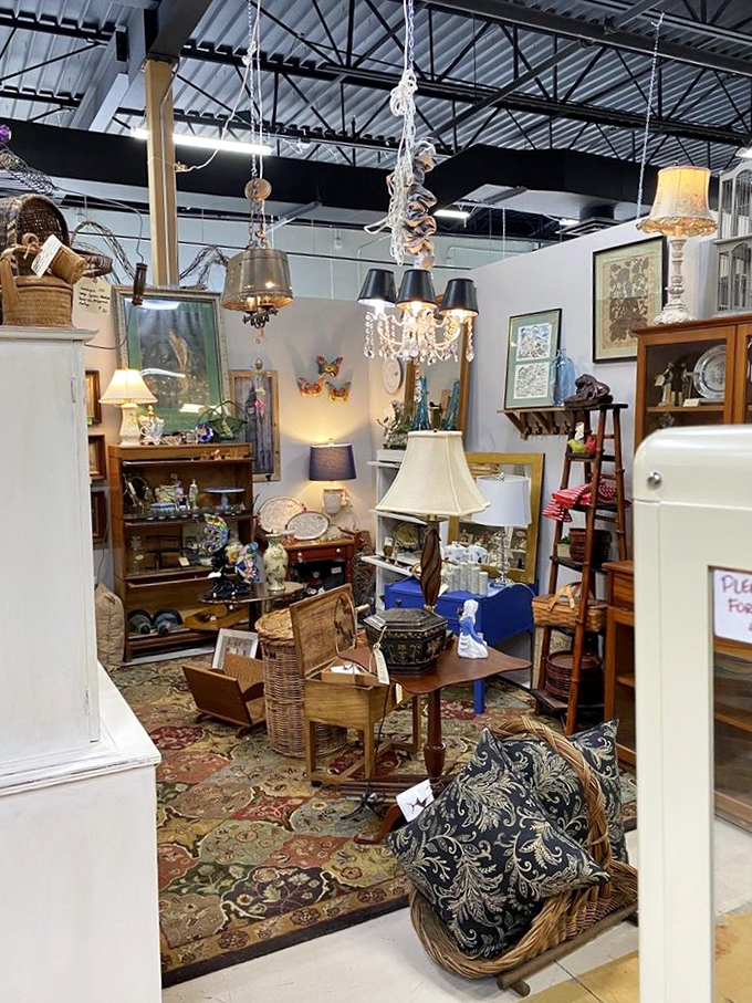 A chandelier jungle where vintage lighting dreams come true. Each fixture tells a story of dinner parties and conversations from decades past. 