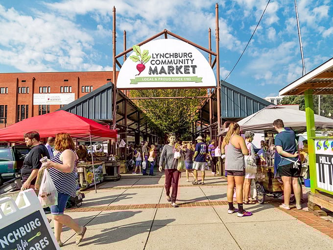 The Community Market buzzes with locals hunting for the perfect tomato with the intensity of contestants on a cooking show.