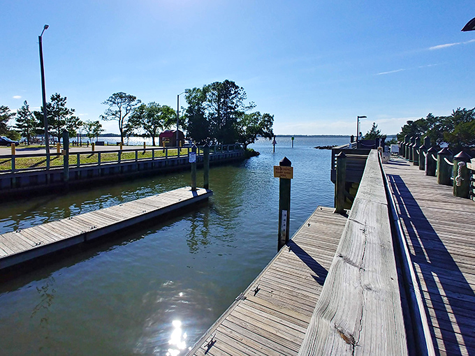 The marina boardwalk &ndash; where fishing stories grow taller by the minute and the only rush hour involves tide schedules.
