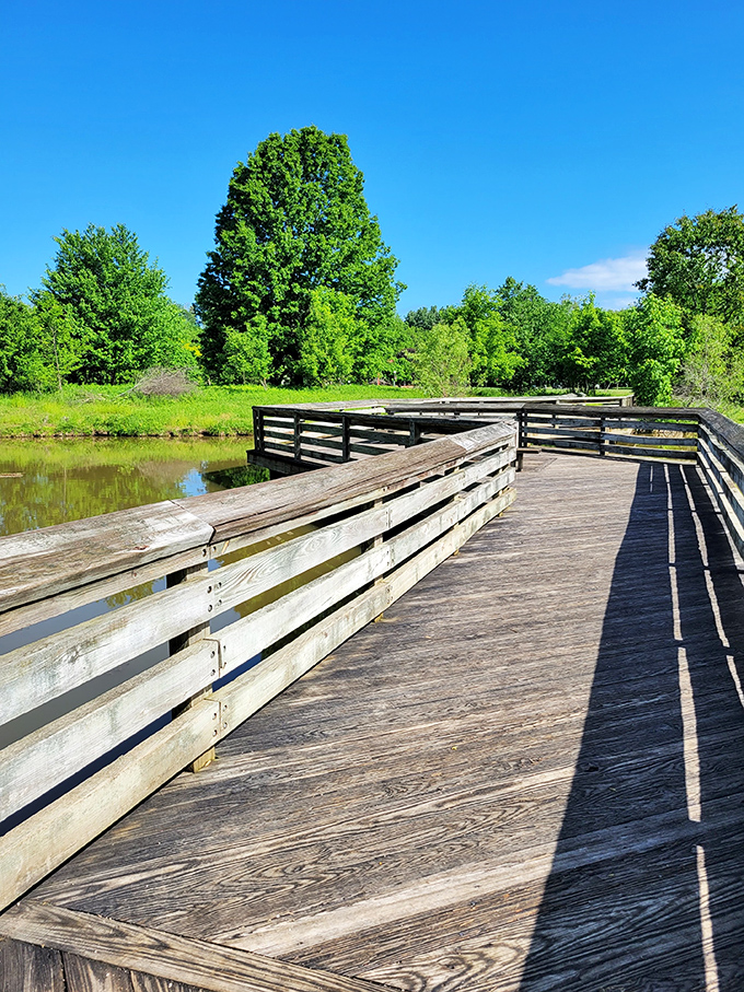This wooden boardwalk through Mill Hollow feels like walking through a scene from "On Golden Pond" – serene, rustic, and quietly magnificent.