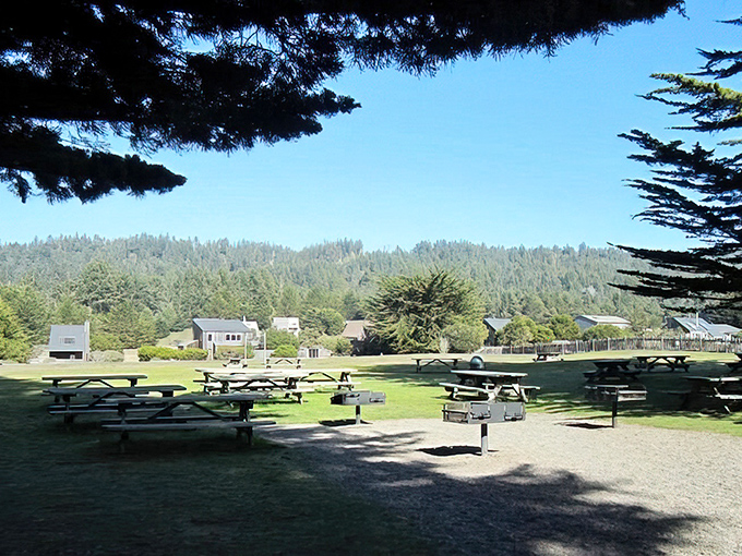 Picnic tables with million-dollar views. In Sea Ranch, even lunch comes with a side of spectacular scenery.