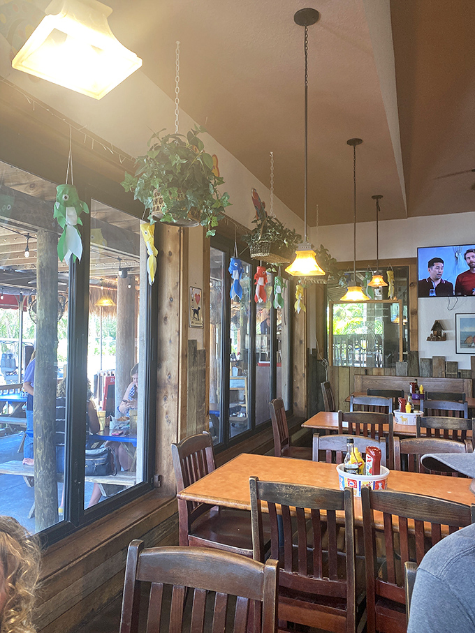 Hanging plants and pendant lights create that "I could stay here all afternoon" vibe that turns first-time visitors into decades-long regulars.