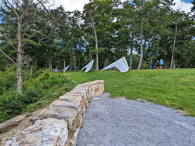 A gathering of modern-day Icarus wings, waiting for their pilots to challenge gravity. The hang glider lineup looks like colorful alien spacecraft at rest.