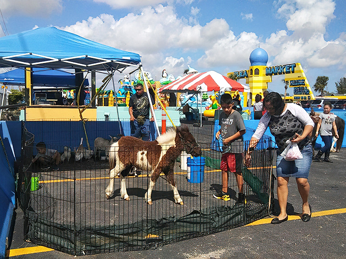The impromptu petting zoo brings farm to flea market. That goat has the same expression I have when someone tells me there's a sale on churros.