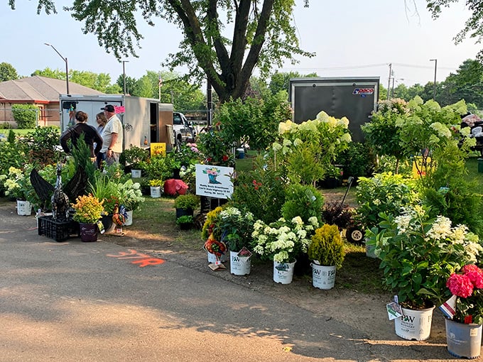 Garden dreams take root! Hydrangeas and perennials stand at attention, ready to transform bare yards into blooming sanctuaries.
