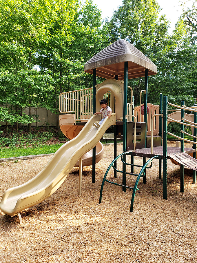 Childhood joy in its natural habitat. This playground proves that sometimes the best entertainment doesn't require charging cables or software updates.