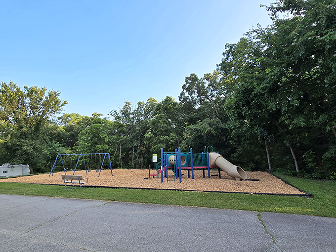This playground: where kids burn energy and parents silently thank park planners for creating the perfect nap-inducement facility.