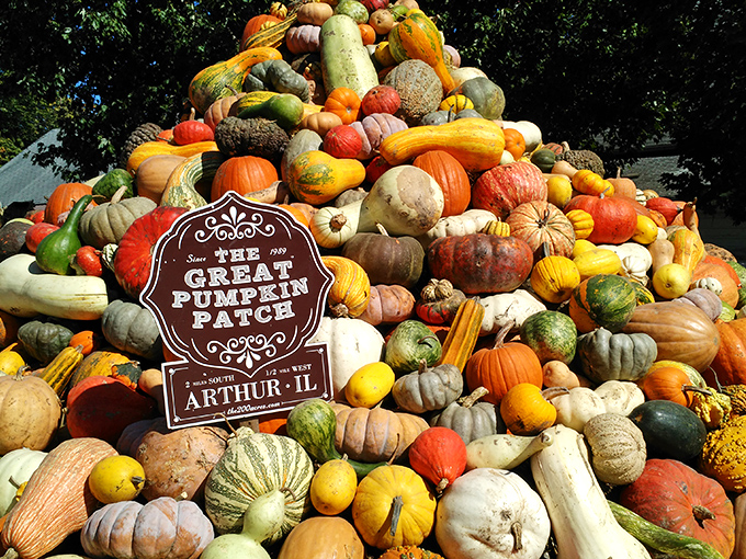 Not just pumpkins&mdash;a mountain of gourds that would make Charlie Brown weep with joy. Arthur's Great Pumpkin Patch delivers autumn in spectacular fashion.