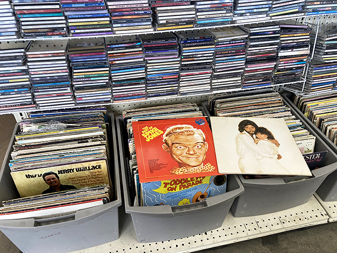 Vinyl paradise for music lovers&mdash;each bin a mixtape of decades past. Albums that once soundtracked teenagers' bedrooms now await rediscovery by new ears.