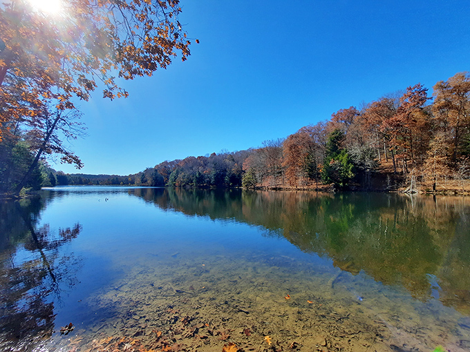 Rose Lake's mirror-like surface reflects autumn's fashion show. The trees are definitely showing off their seasonal collection here. 