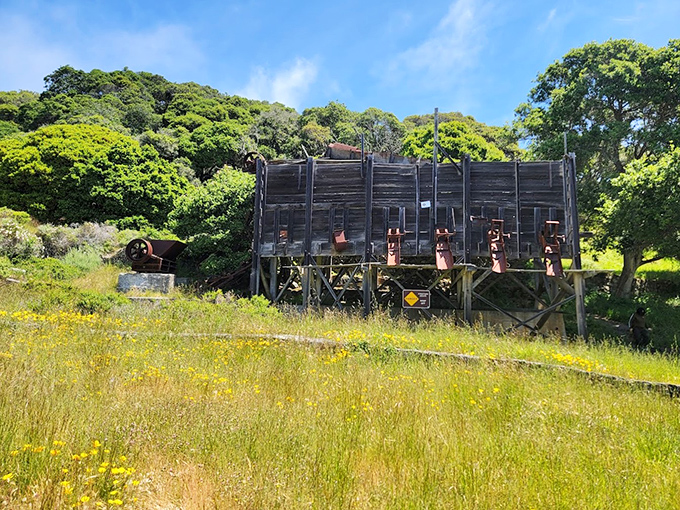 Nature slowly reclaims this historical relic in a gentle reminder that time marches on, even in paradise.