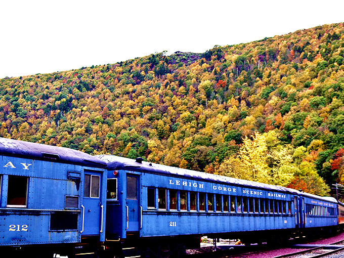Fall foliage creates nature's perfect backdrop for these blue coaches&mdash;like they're rolling through a painting that refuses to dry.