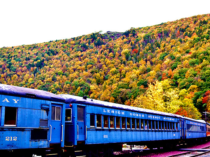 Fall transforms the Lehigh Gorge into nature's own art gallery, with the railway's blue coaches offering front-row seats to autumn's most spectacular show.